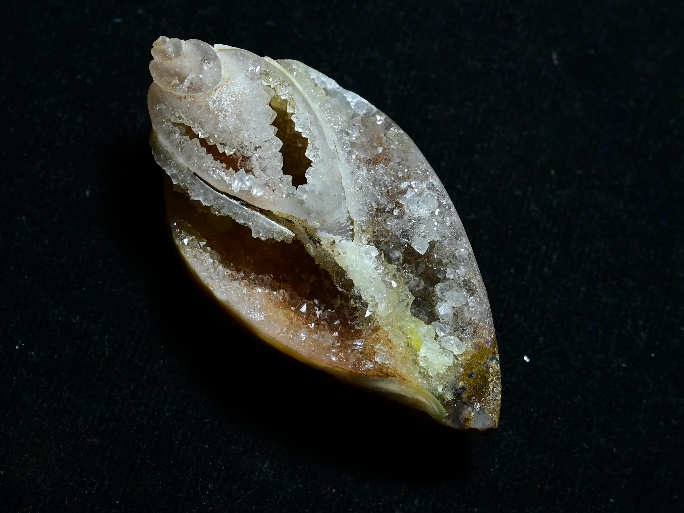 Antique Fossil Druzy Cluster 99 Ct. Very Unique Snail Druzy Snail Druzy ...