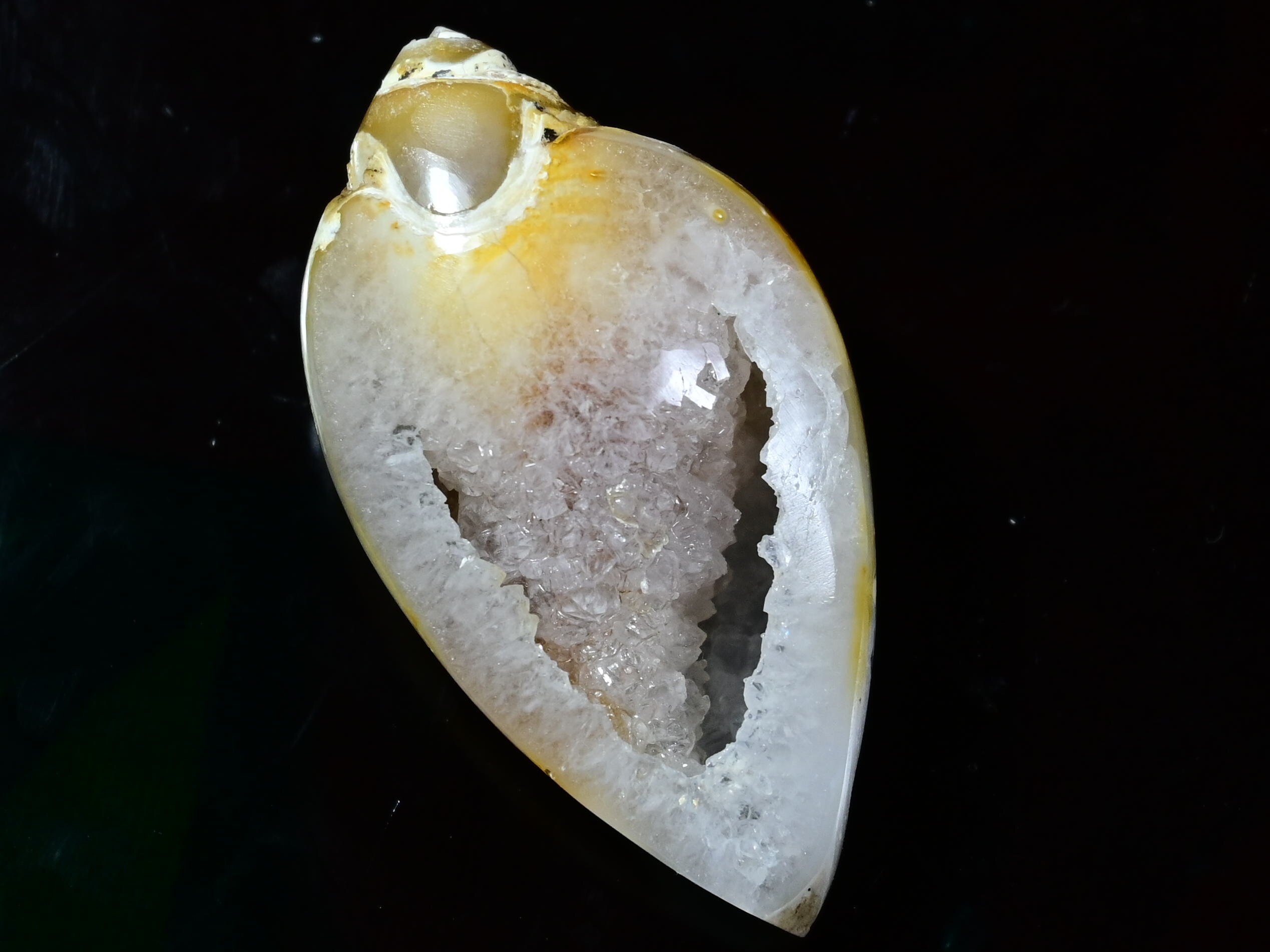 Natural Fossil Druzy Agate 73 Ct. 100% Natural Snail Druzy Fossil Snail ...