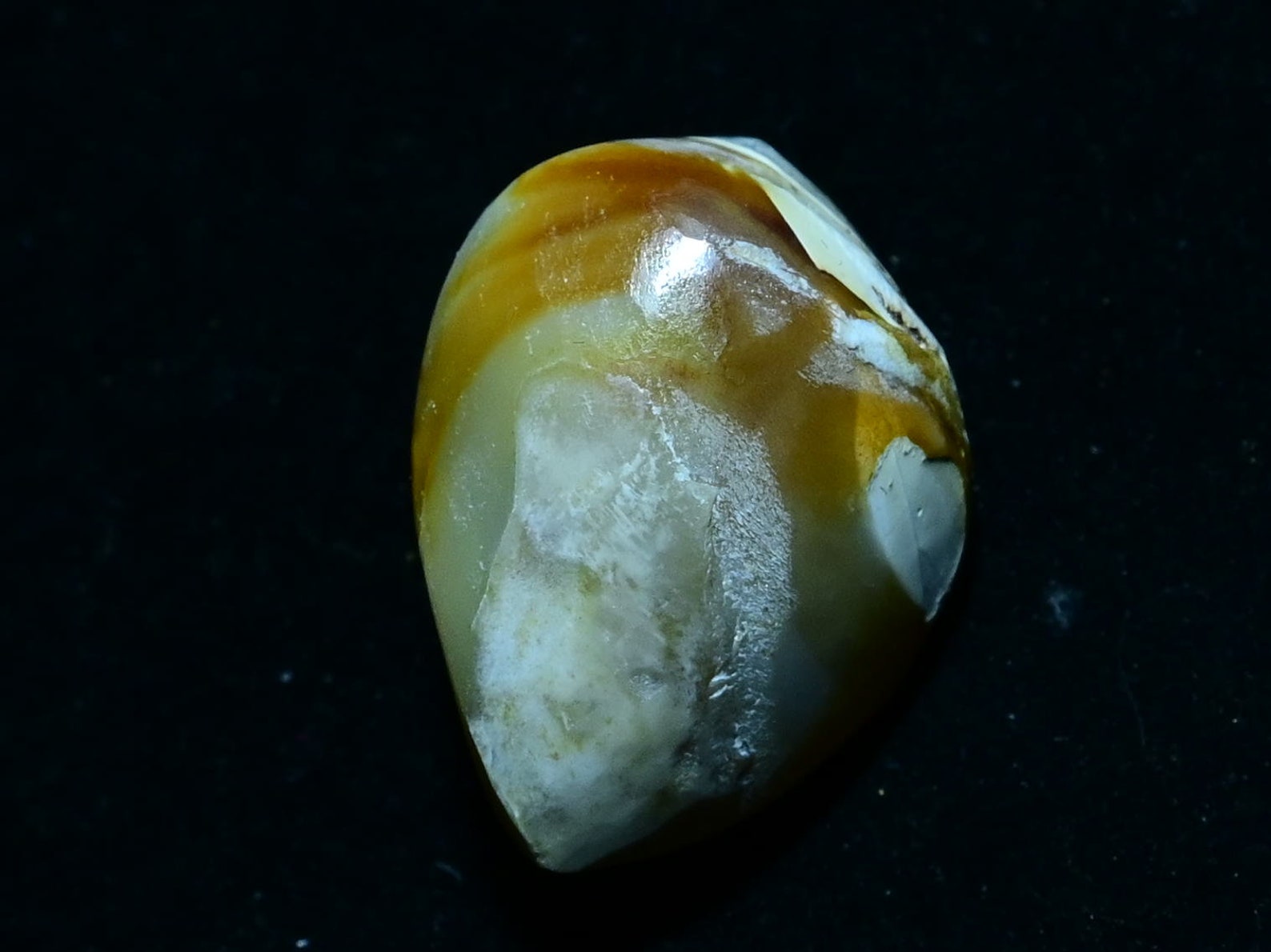 Natural Fossil Druzy Agate 61 Ct. 100% Natural Snail Druzy Fossil Snail ...