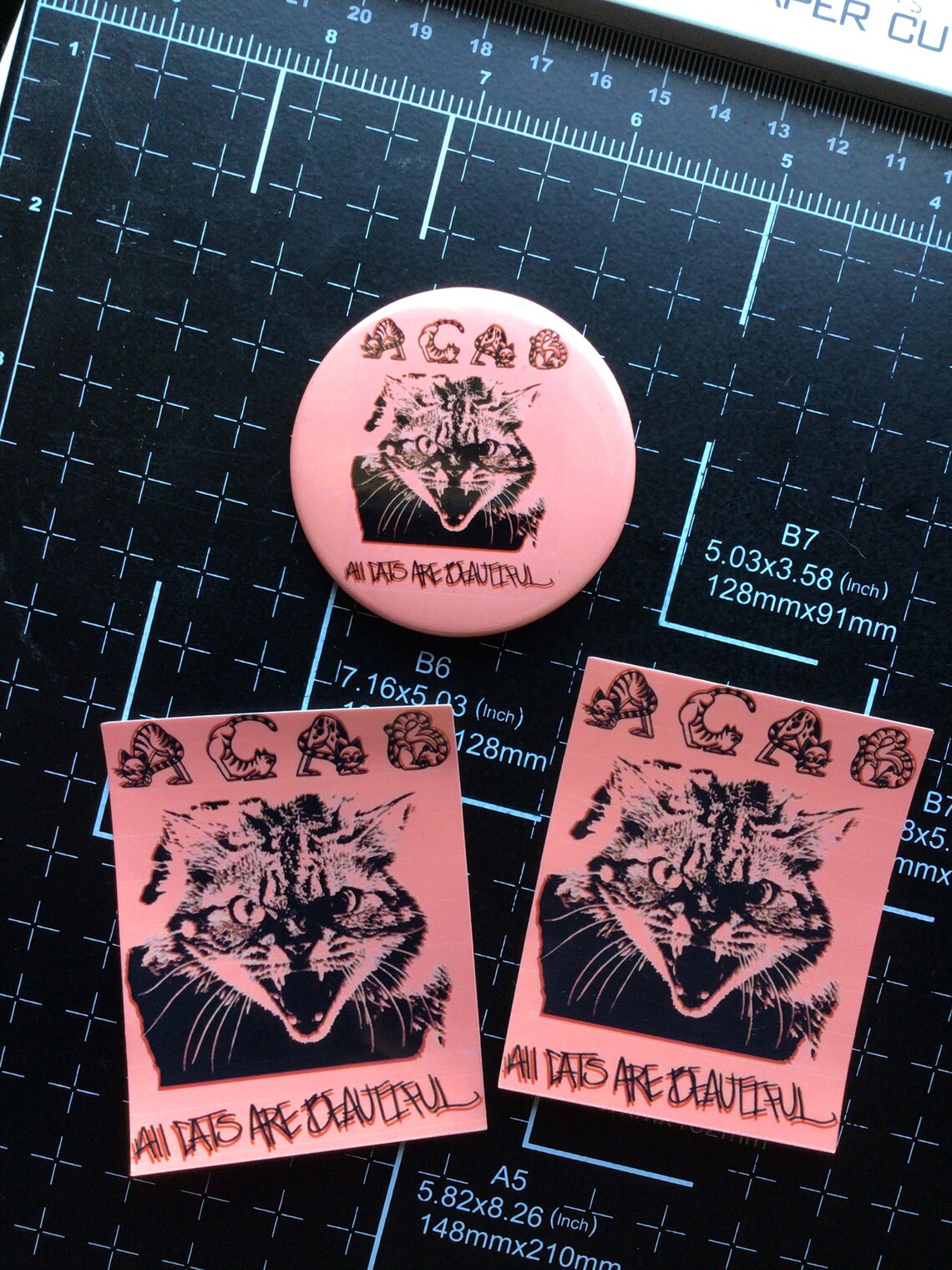 ACAB pin and sticker pack | Etsy