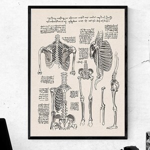 Spine Anatomy Poster Human Anatomy Art Print Canvas Poster Medical ...