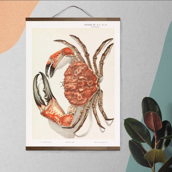 Crab Wall Hanging - Etsy