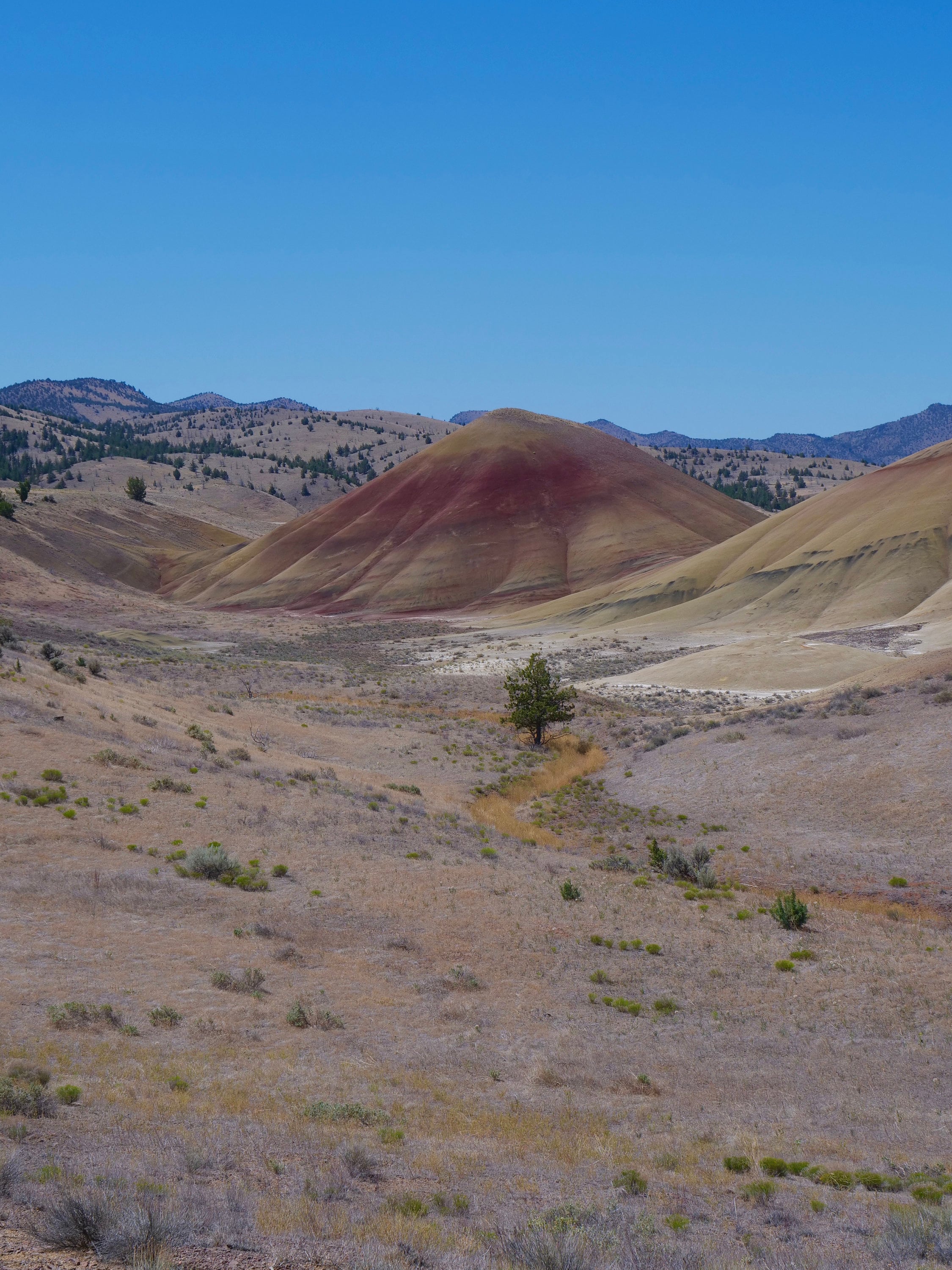 Painted Hills Oregon Color Landscape Digital Download | Etsy