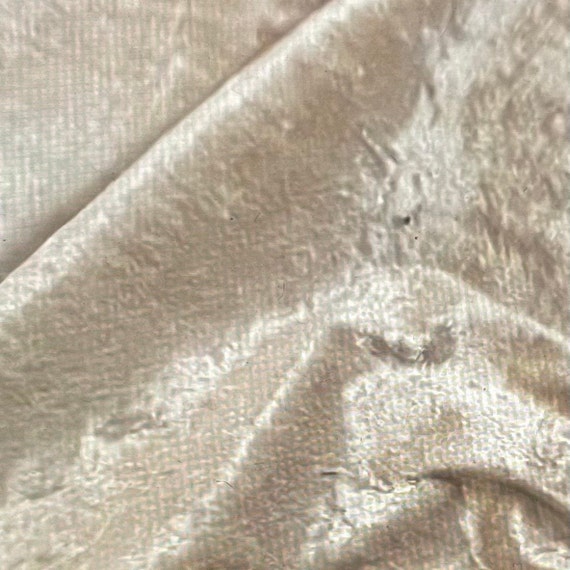 Champagne Color Poly Velvet by the Yard | Etsy