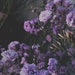 Purple Euphoria- Digital/printable Art - Etsy