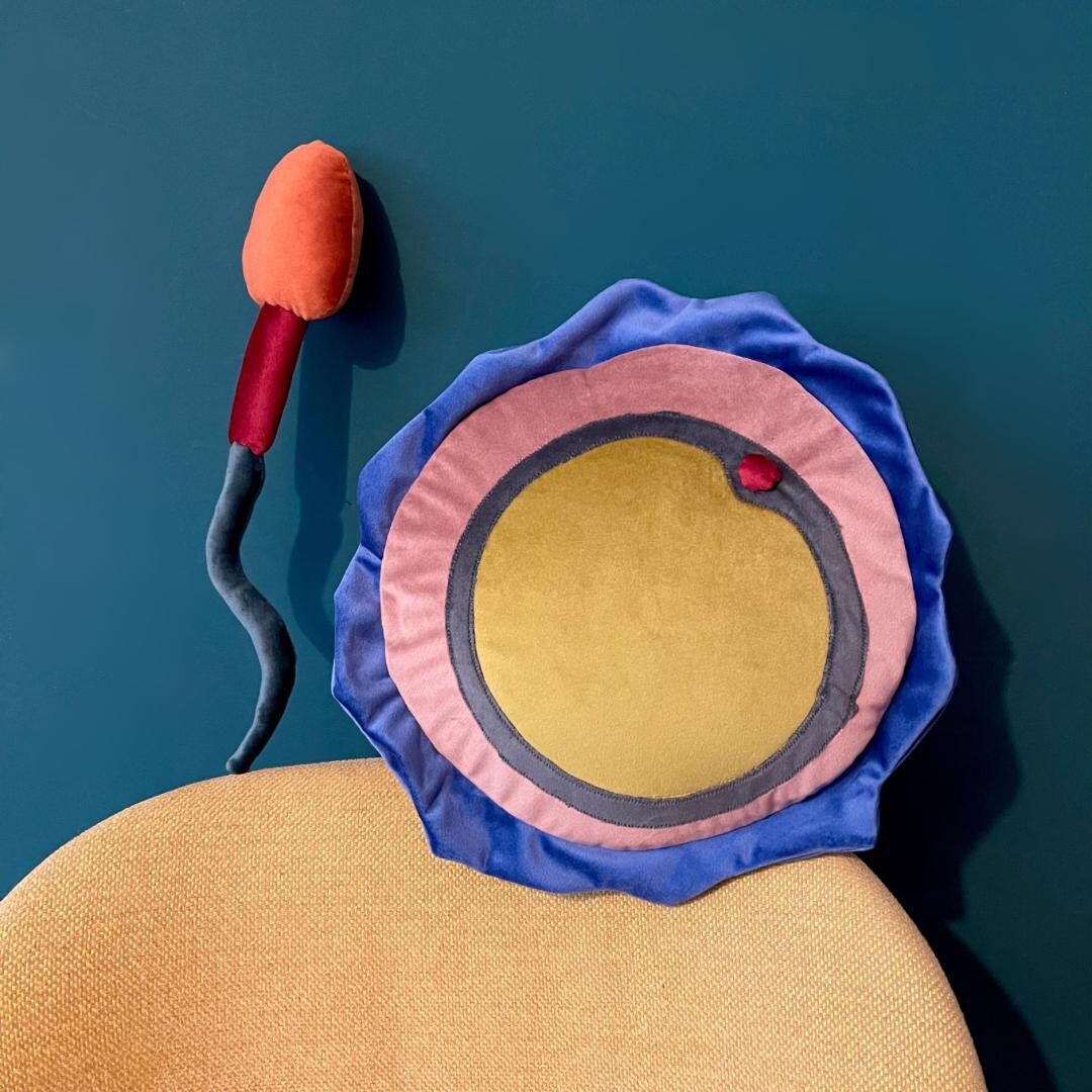 Sperm and Egg Cell, Anatomical Plush Models, Educational Plushies ...