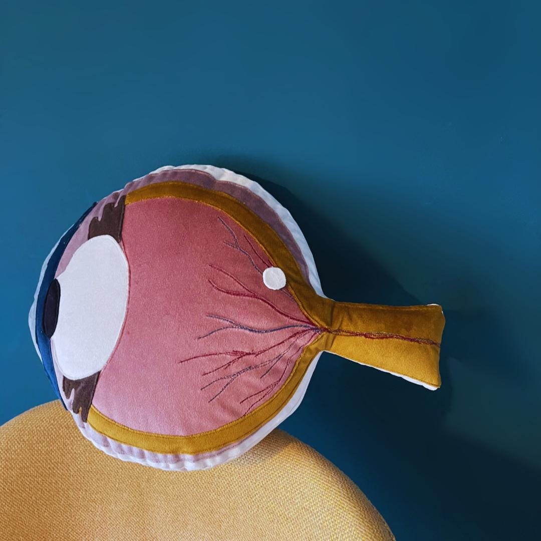 Anatomical Eye Pillow – Plush Optometry Education Model, Biology Class ...