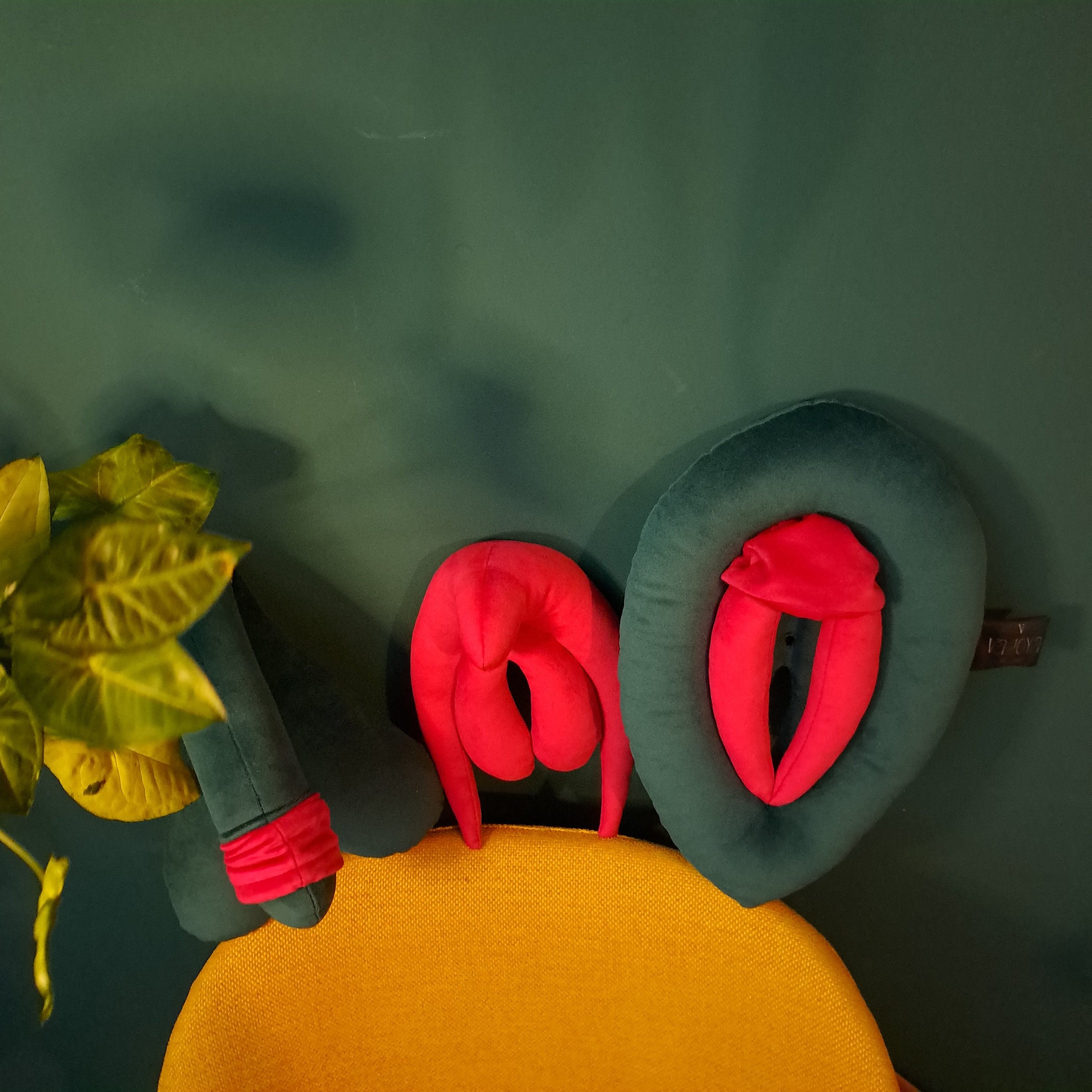 Vulva Clitoris and Penis Pillows Set Vulva Penis Puppets Sex - Etsy