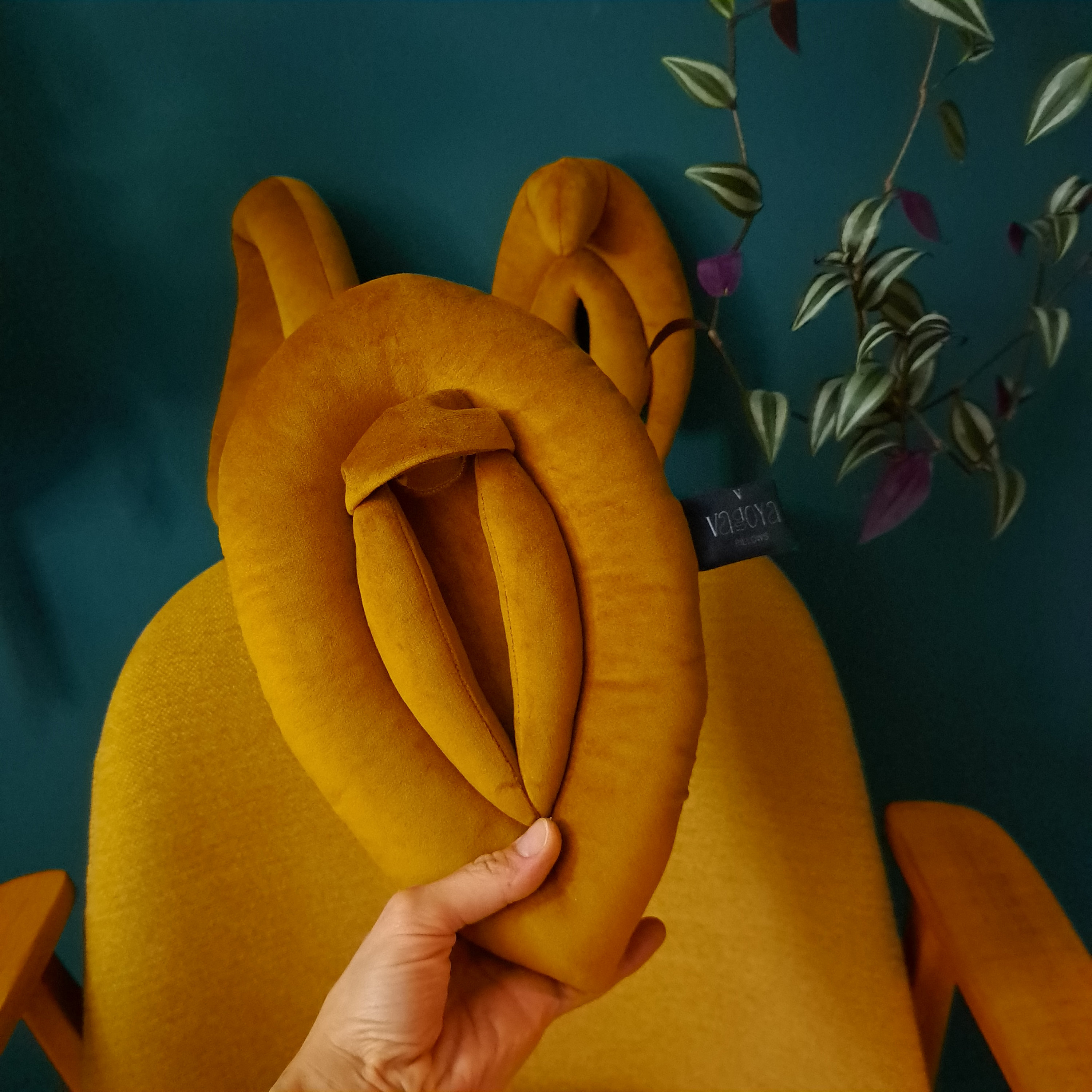 Vulva Clitoris and Penis Pillows Set Vulva Penis Puppets Sex - Etsy