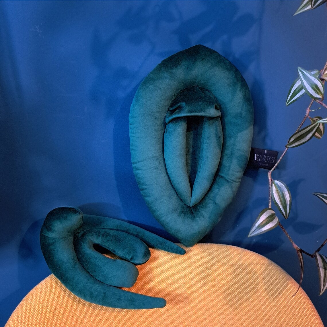 Vulva Pillows Set, Vulva Anatomy Teaching Set, Clitoris and Vulva ...