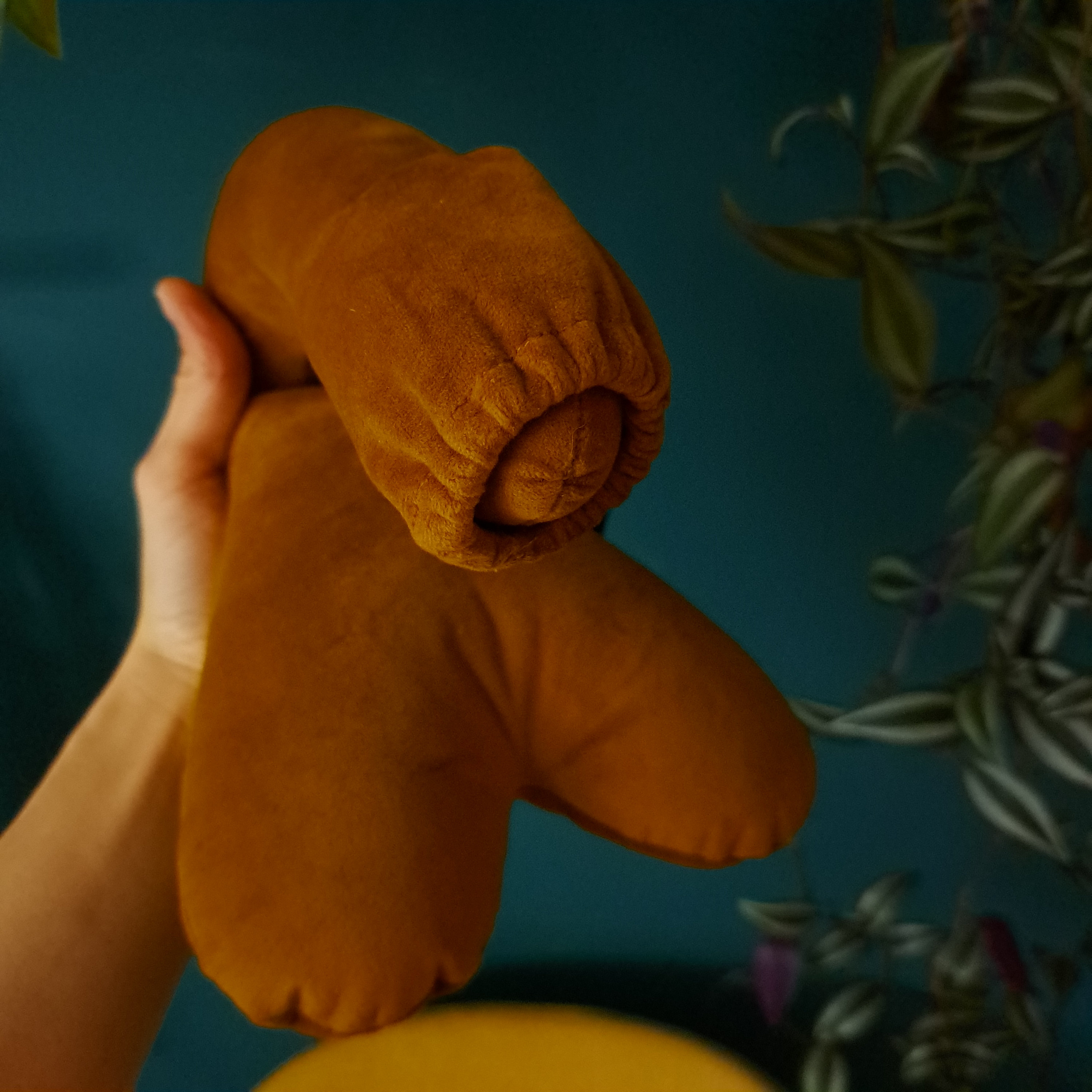 Vulva Clitoris and Penis Pillows Set Vulva Penis Puppets Sex - Etsy