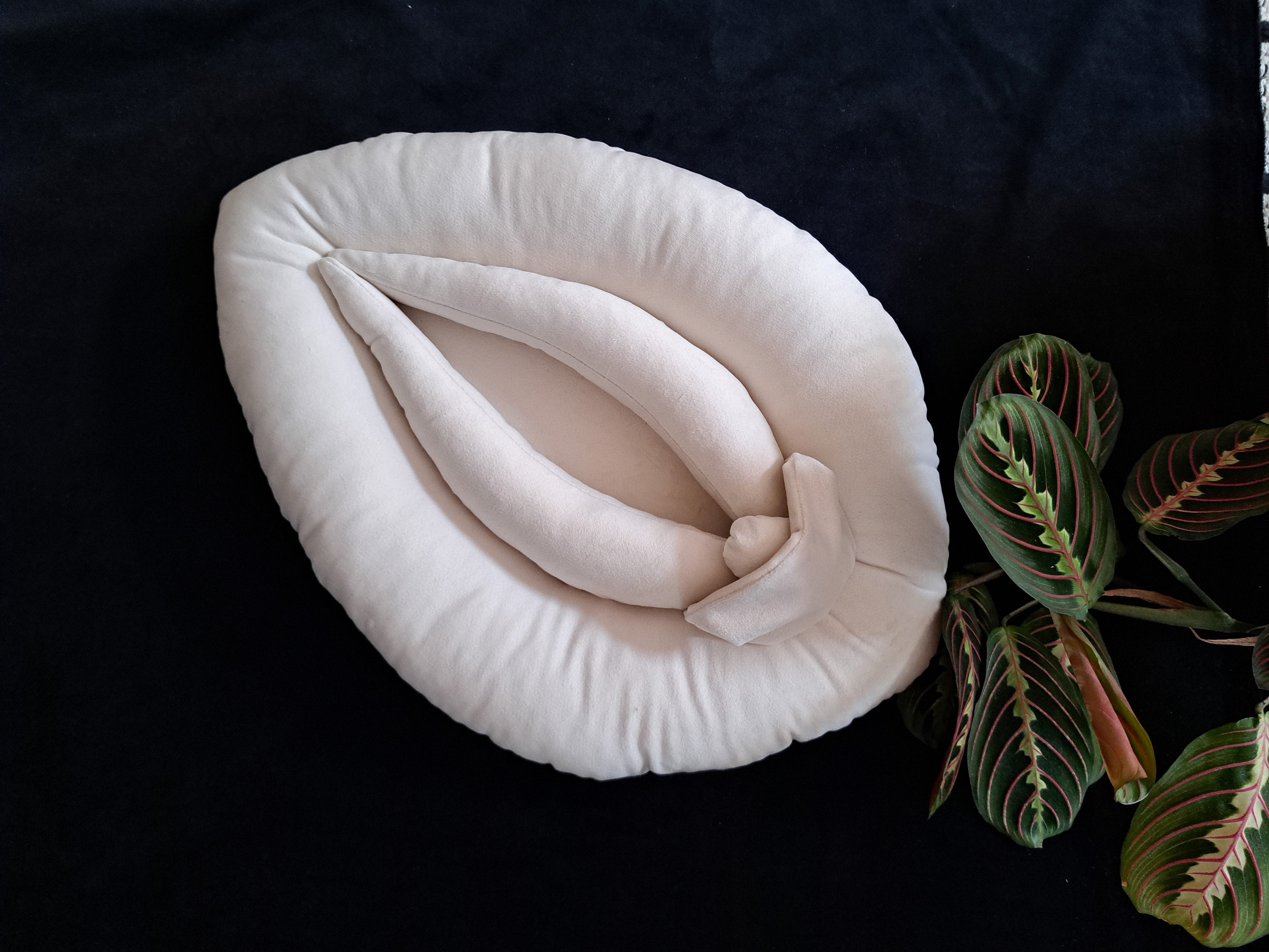 Vulva Anatomy Vulva and Clitoris Set Sex Teaching Sex - Etsy Australia