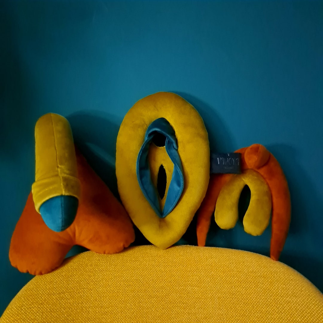 Accesorios de educación sexual: conjunto de anatomía de la vulva, el ...