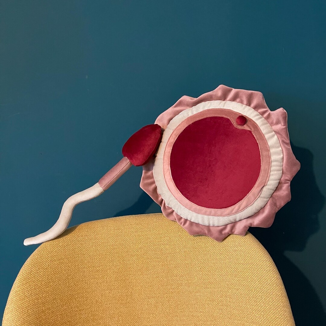 Sperm and Egg Cell, Anatomical Plush Models, Educational Plushies ...