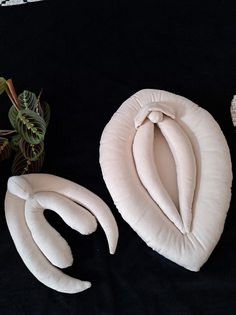Vulva Anatomy Set Vulva Cushions Sex Education Gadget Pussy Etsy Canada