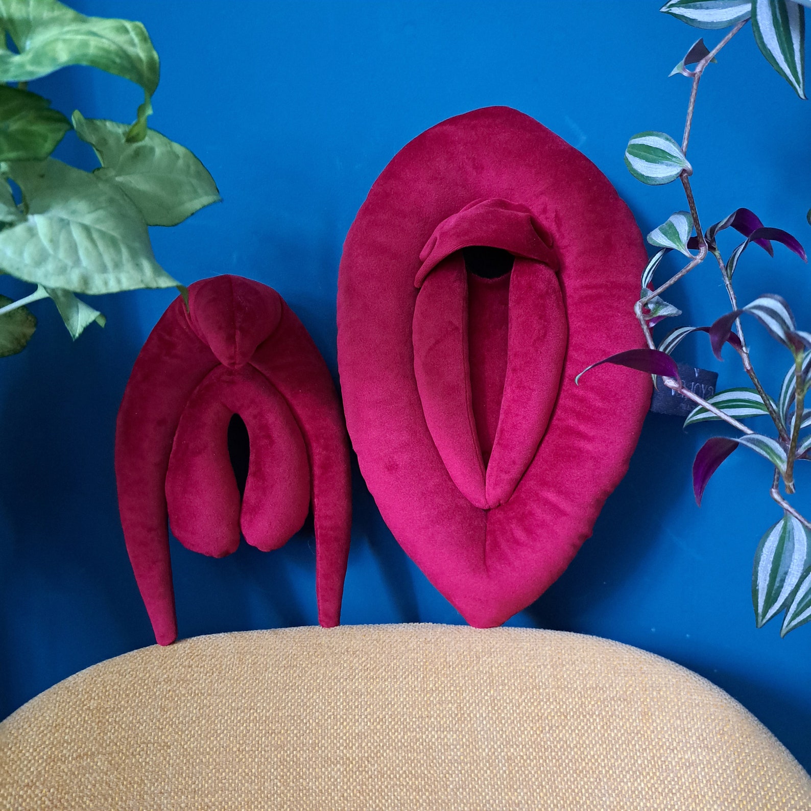 Vulva Pillows Anatomy Set Red Plushy Puppets for Sex - Etsy