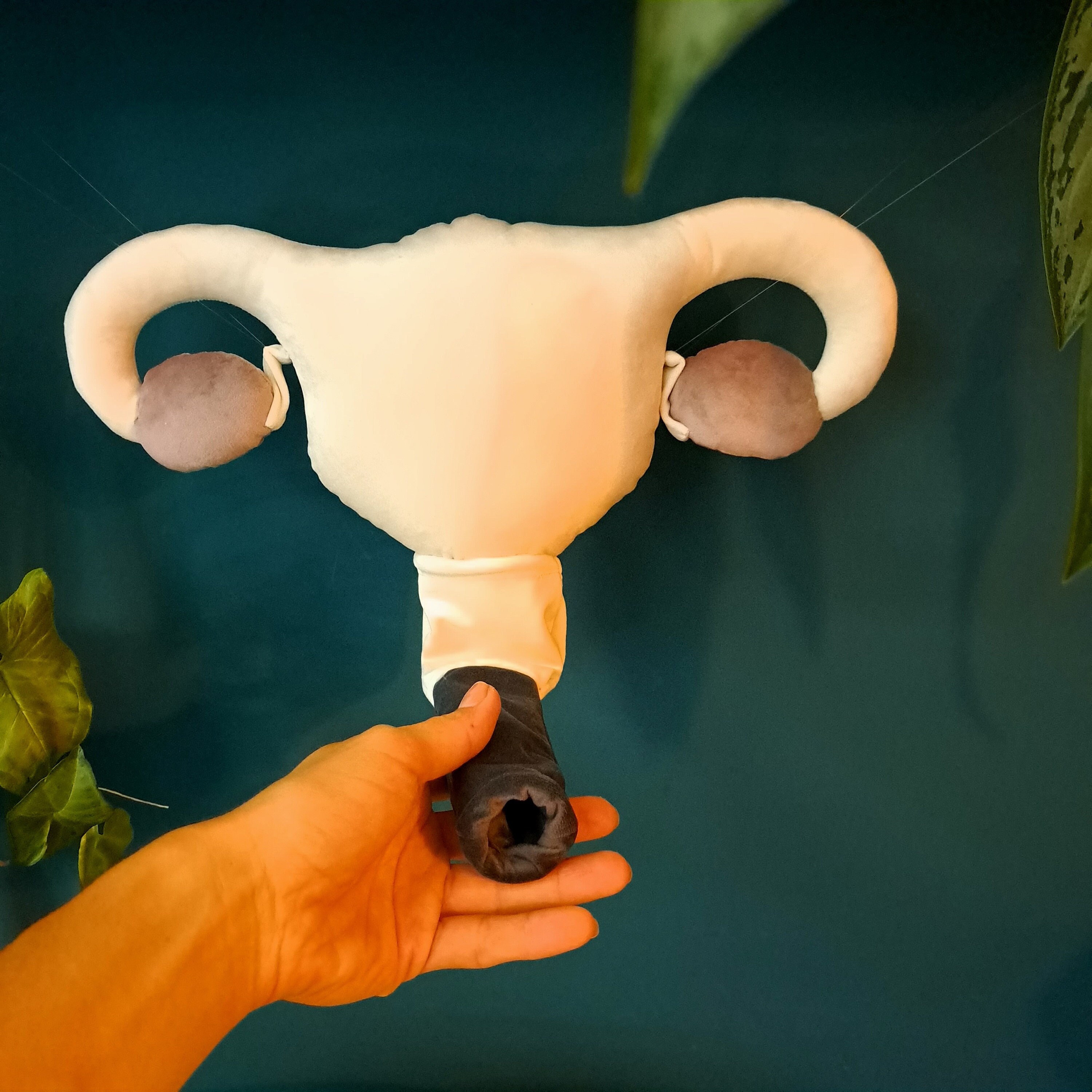 Uterus Puppet Plushy Uterus Pillow With Vaginal Canal - Etsy