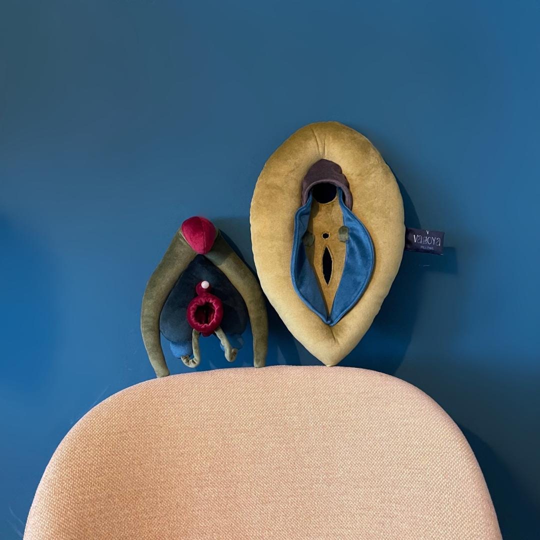 VULVA DELUXE Model, Vulva Anatomy Set With Detachable Clitoris, Skene’s ...
