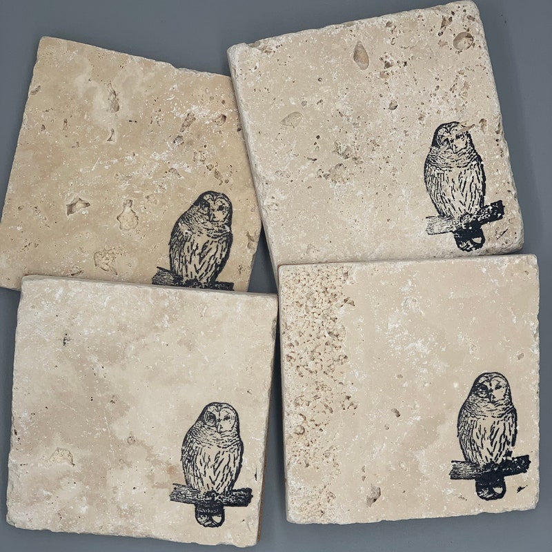 Owl Coasters - Etsy