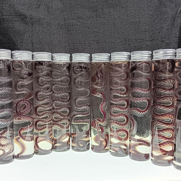 Diaphonization - Etsy