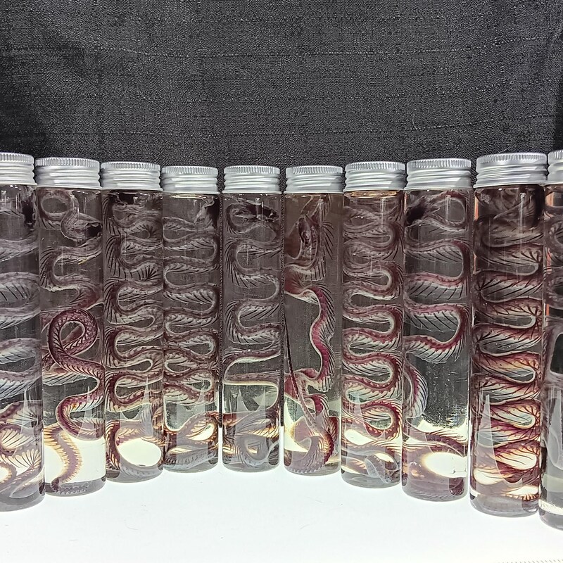 Diaphonization - Etsy