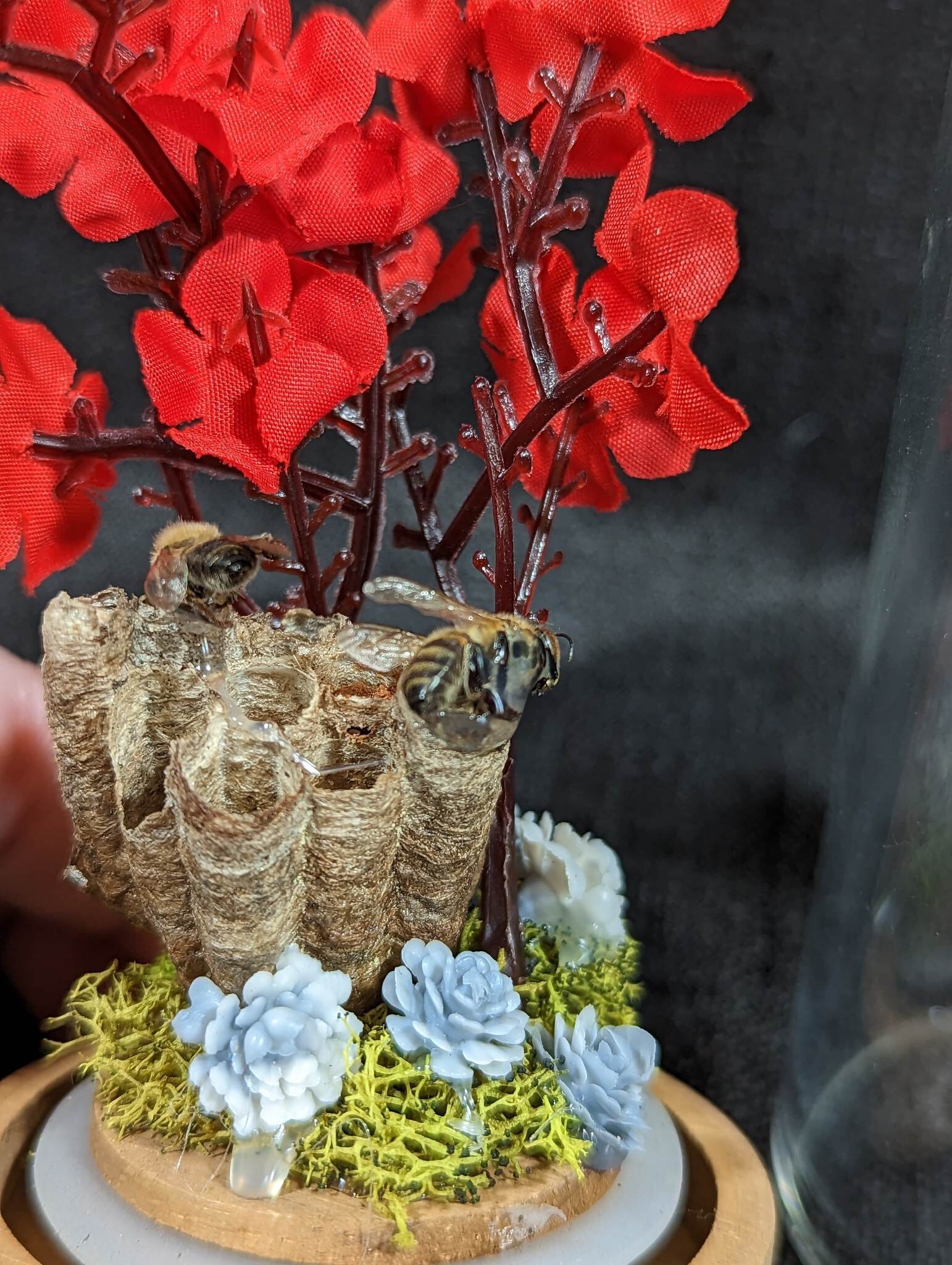 Real Bees Resting on Hive Nature Display - Etsy