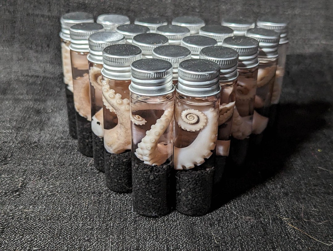 Wet Specimen Octopus Tentacle With Black Sand - Etsy