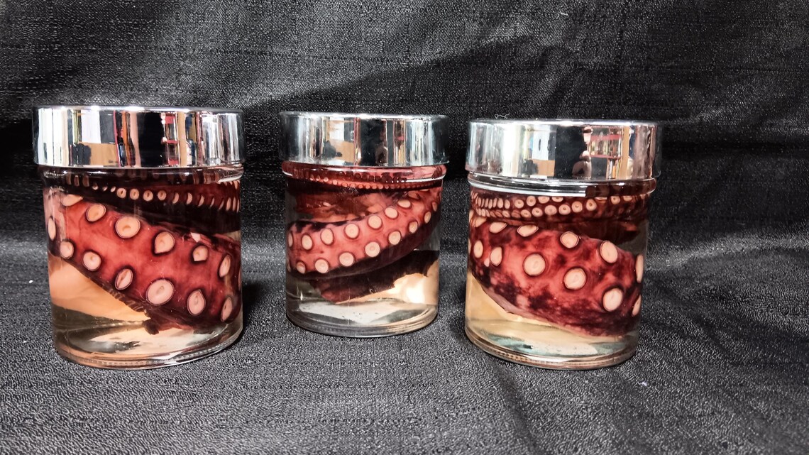Wet Specimen Octopus Tentacle - Etsy