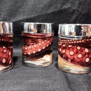 Wet Specimen Octopus Tentacle - Etsy