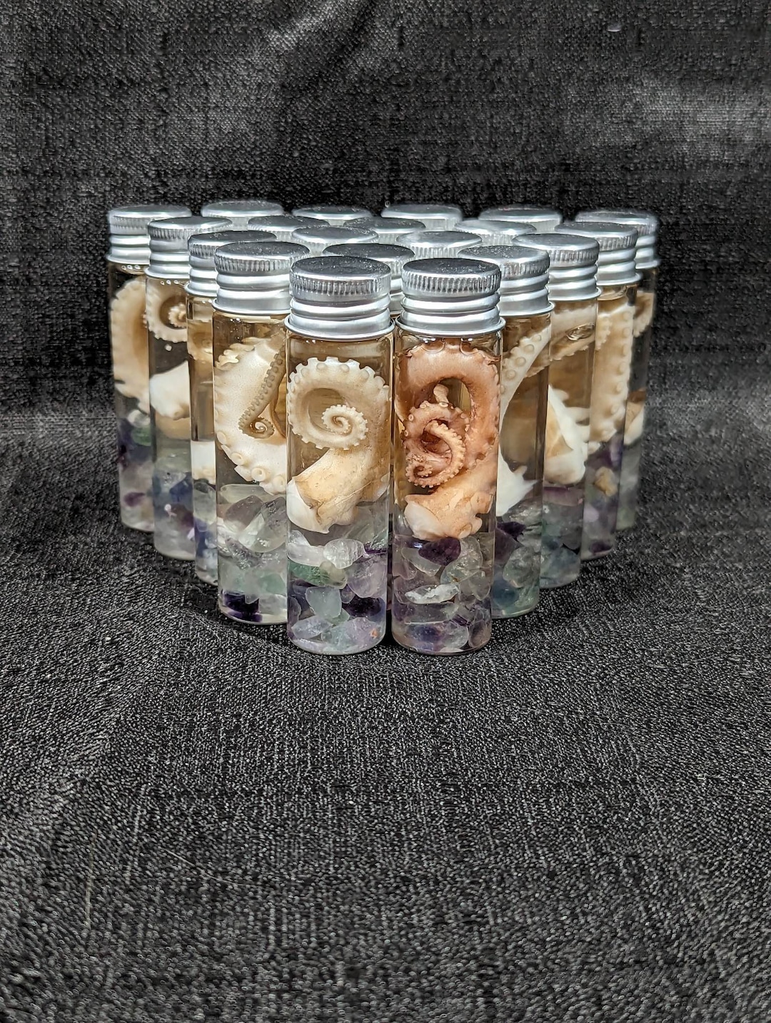 Wet Specimen Octopus Tentacle With Fluorite - Etsy