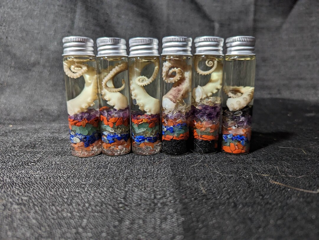 Wet Specimen Octopus Tentacle With Chakra Stones - Etsy