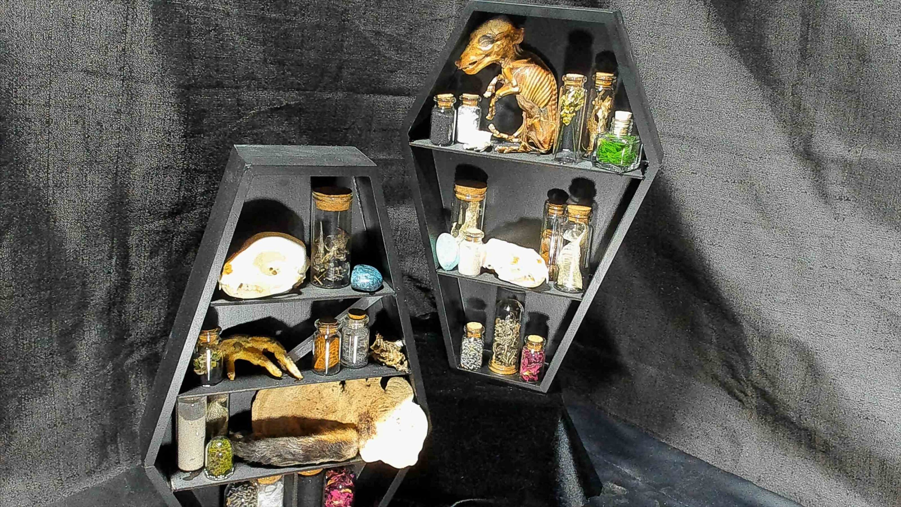 Coffin Curiosity Cabinet: Oddities & Vials Display Shelf - Handcrafted ...