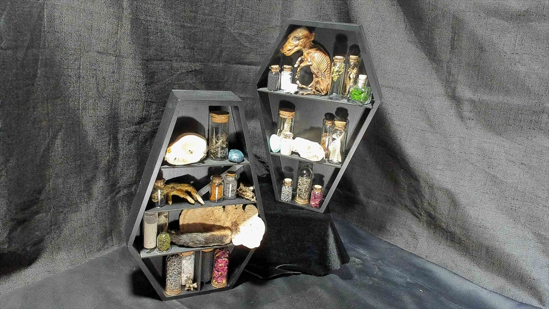 Coffin Curiosity Cabinet: Oddities & Vials Display Shelf - Handcrafted ...