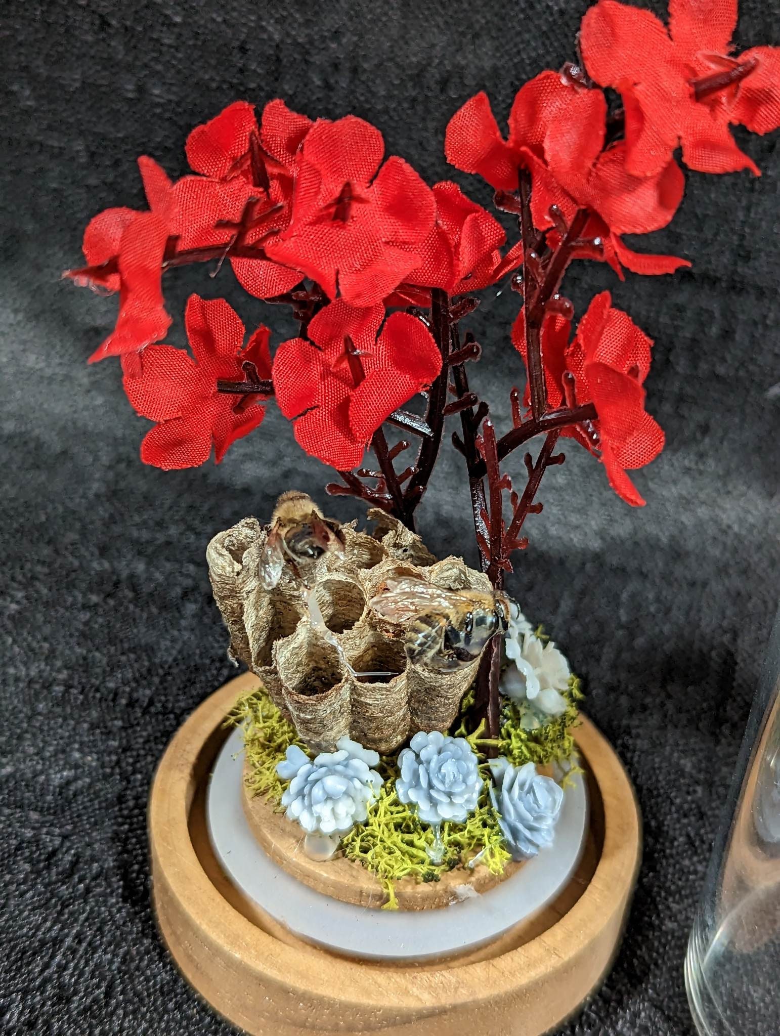 Real Bees Resting on Hive Nature Display - Etsy