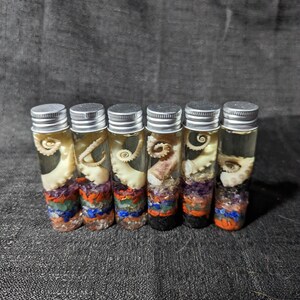 Wet Specimen Octopus Tentacle With Chakra Stones - Etsy