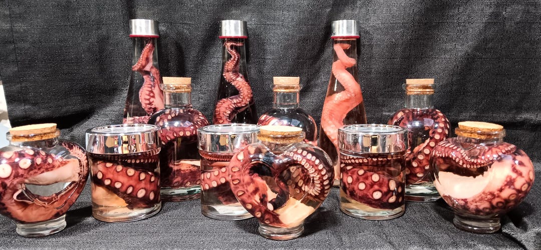 Wet Specimen Octopus Tentacle - Etsy