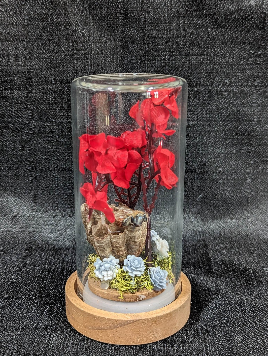 Real Bees Resting on Hive Nature Display - Etsy