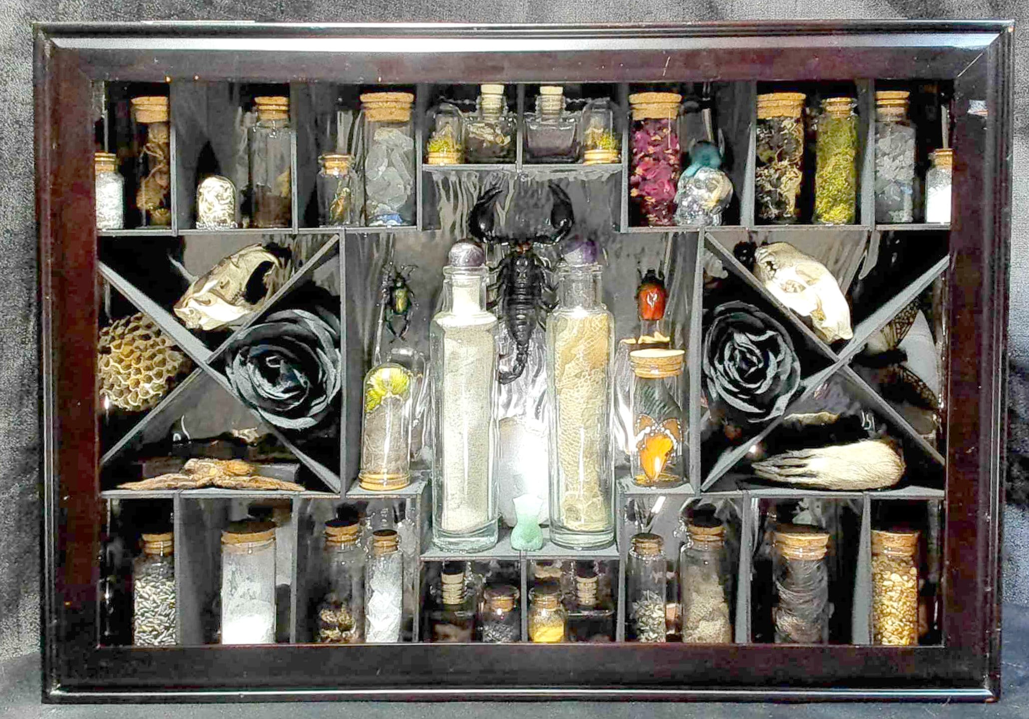 Curiosity Cabinet Oddities Vials Display Shelf Handcrafted Intrigue for the Inquisitive
