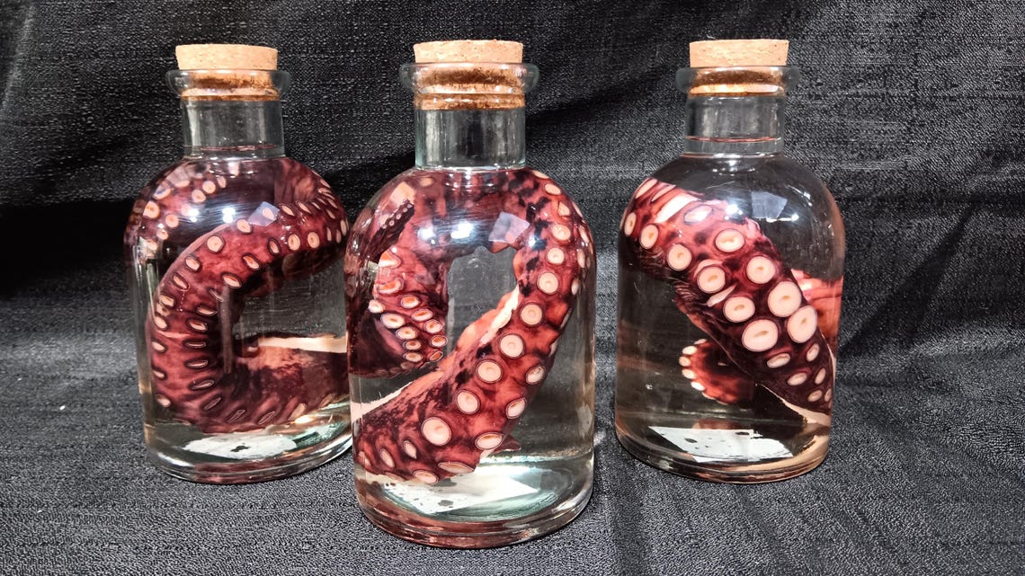 Wet Specimen Octopus Tentacle - Etsy