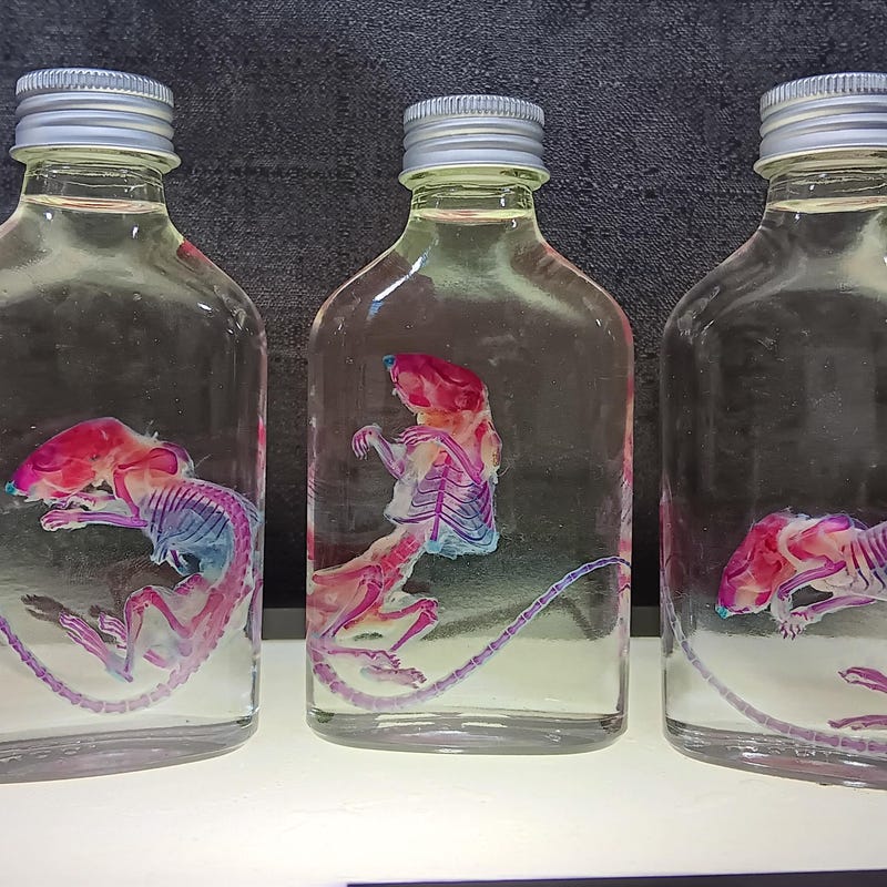 Diaphonization - Etsy