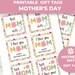 Mothers Day Gift Tags Printable, Gift Tags for Mom, Best Mom Ever Tag ...