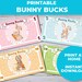 Printable Bunny Bucks, Bunny Money Easter Printable, Easter Egg Filler ...
