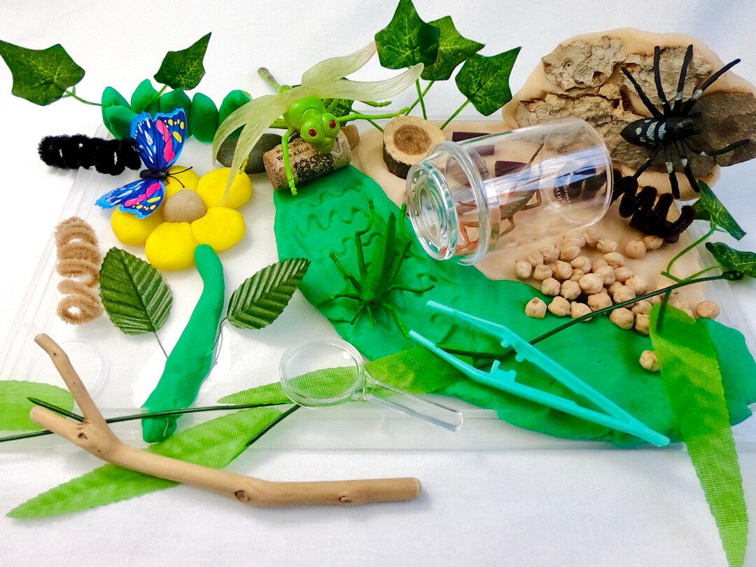 Playdough Sensory Kit, Learning Games, Insects Kids Kit, Playdough Game ...