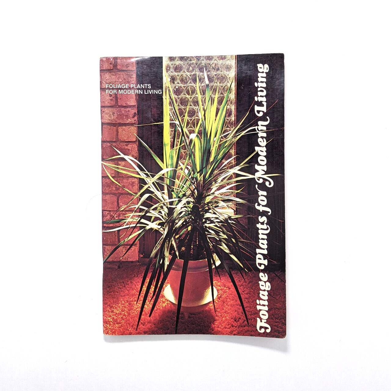 Vintage House Plant Guide Books: Foliage Plants Cacti | Etsy