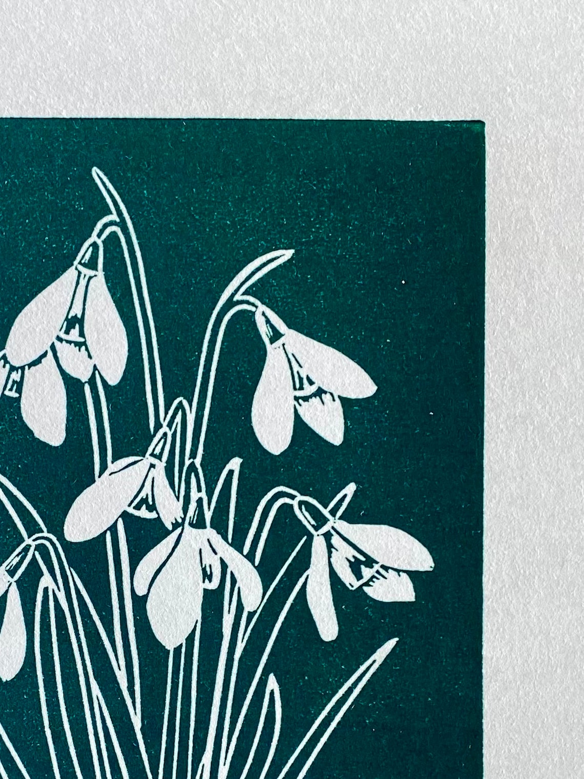 Snowdrop Print in Green, Snowdrops, Original Lino Print, Botanical Home ...