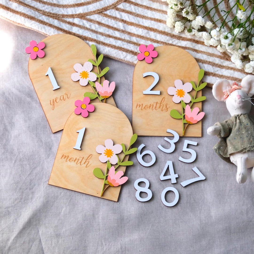 Baby Monthly Milestones Cards, New Mom Gift, Baby Shower Gift, 12 ...