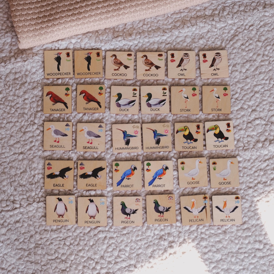 Montessori Matching Game: Wooden Bird Memory Cards, Educational Toy - Etsy
