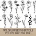 Wildflowers Svg Bundle, Floral Svg, Wildflower, Flower Sketch, Cricut ...