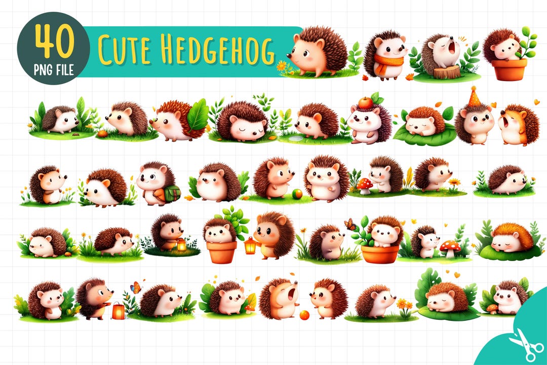 Igel PNG Clipart | Baby Igel digitaler Download | Waldtier Sublimations ...