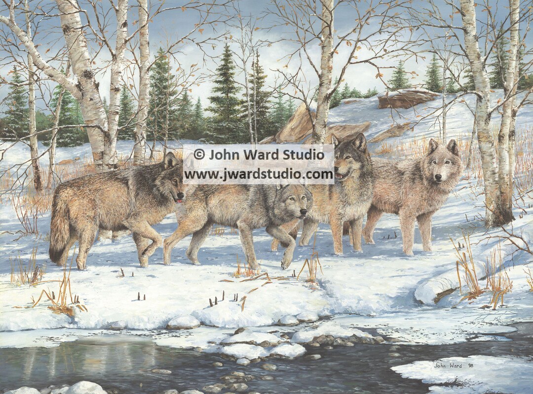 Masters of the Forest Art Print by John Ward, Wolf Wall Decor, Wolf ...